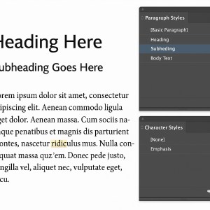 How to Use Styles for Faster Typography in Adobe InDesign – IndesignPerfect